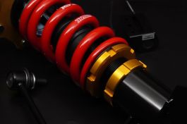 Go Tuning Unlimited J's Racing Black Series Damper RR Kit - Civic FK8